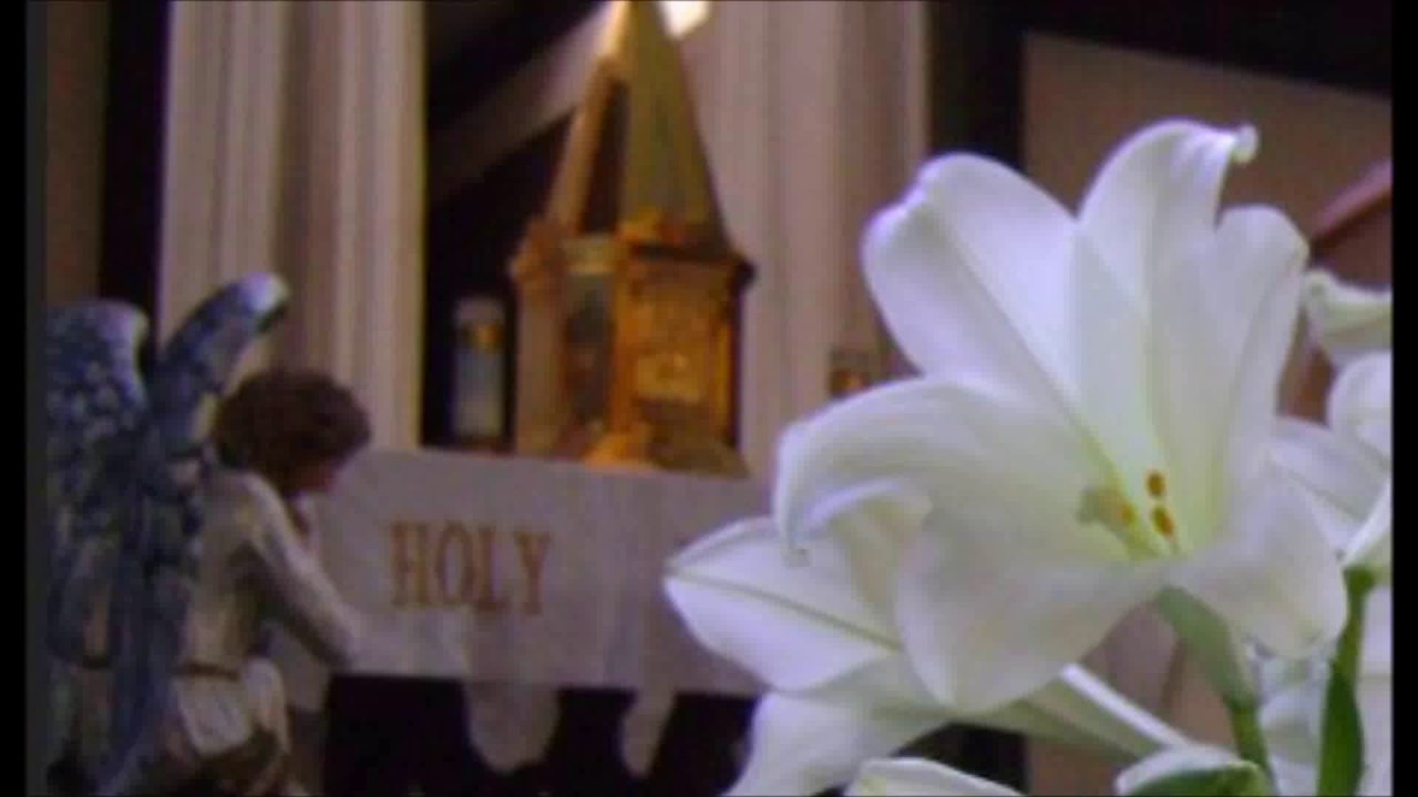 Rosarium Virginis Mariae by Meryl Viola Bravo, M.A. - YouTube