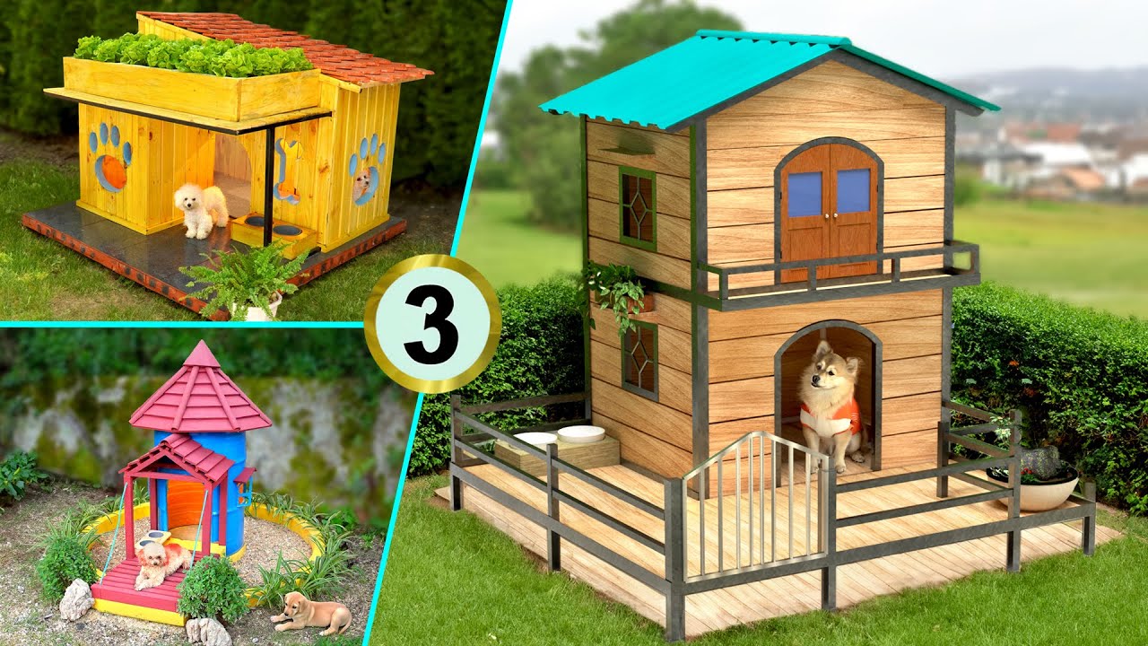 From simple to stunning Top 3 pet house ideas - YouTube