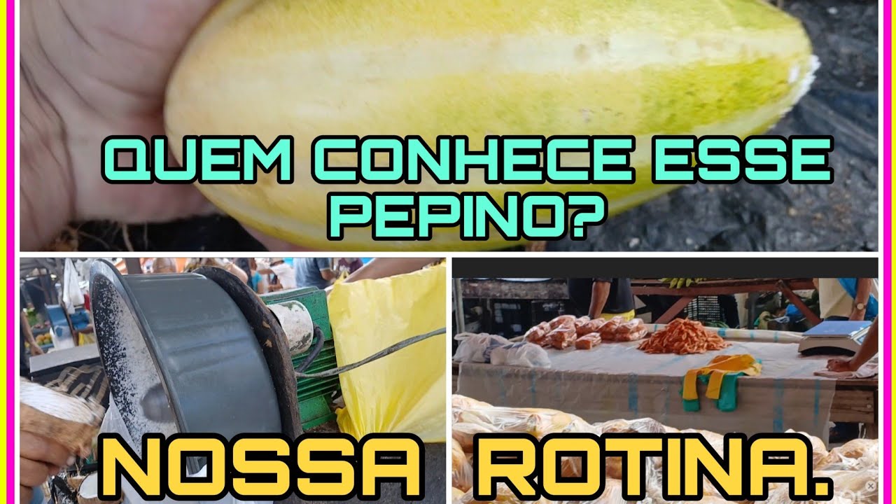 ROTINA DO DIA DIA/ GANHAMOS UM PEPINO DOCE NA FEIRA - YouTube