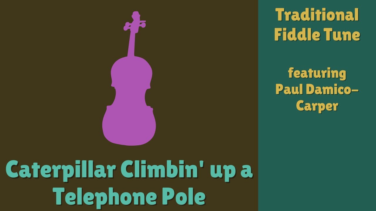 CATERPILLAR CLIMBIN' UP A TELEPHONE POLE Duet feat. Paul Damico-Carper ...