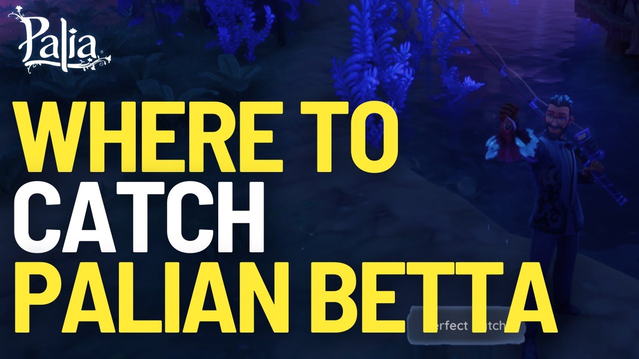 Where to Catch the Palian Betta Fish in Palia - YouTube