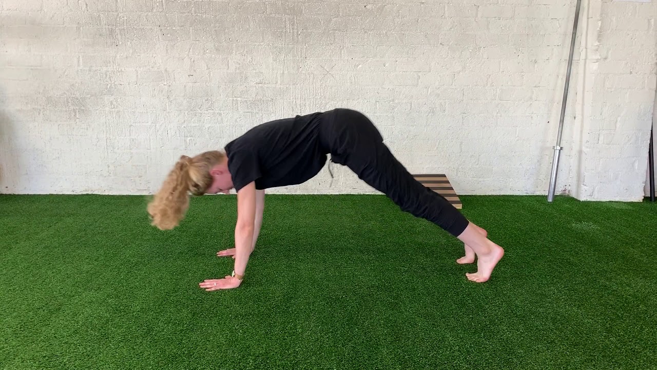 Plank to Down Dog - YouTube