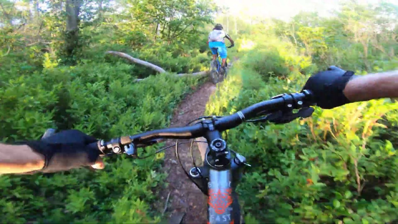 Mountain Bike - NMBA Group Ride, New Laurel Run Trail, Rothrock State ...