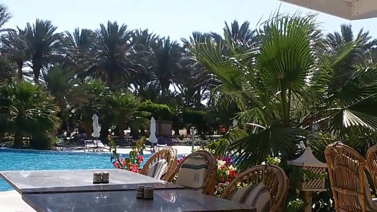 Ветер в Египте, апрель 2015. Wind in Egypt, april 2015. Marsa Alam, Zee ...