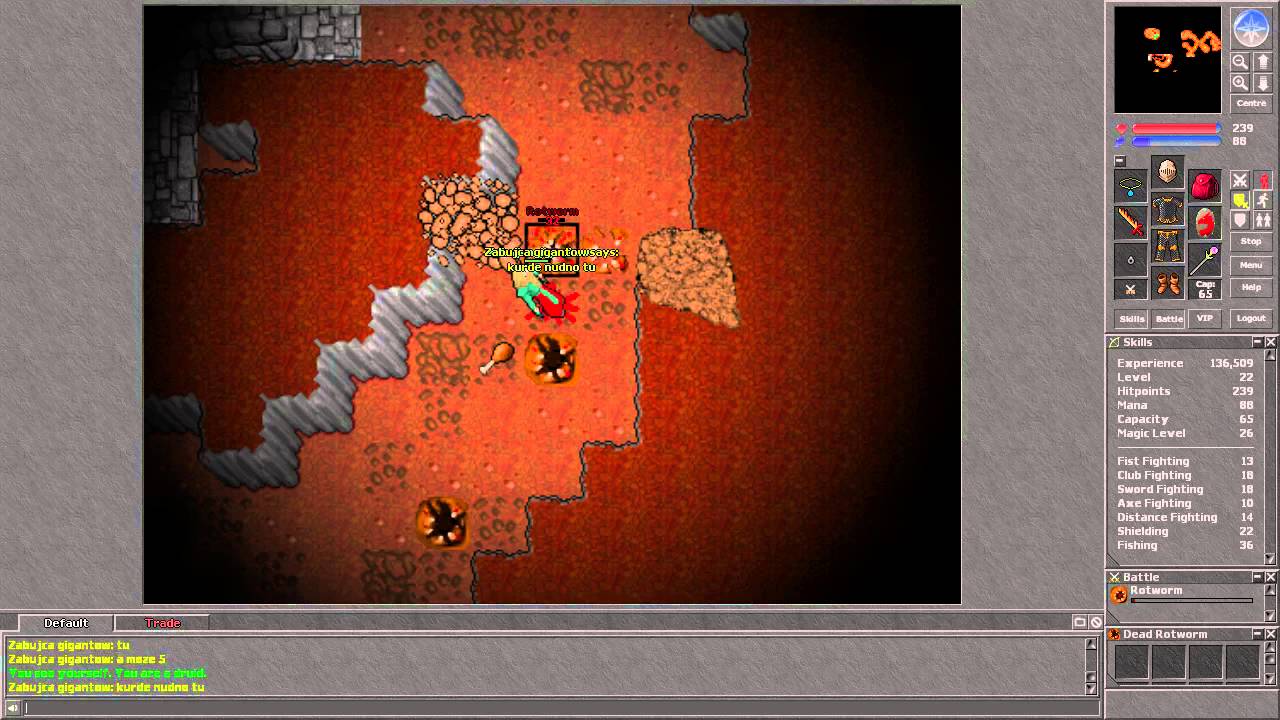 Tibia [7.3] Hunting Rotworms outside Venore - YouTube