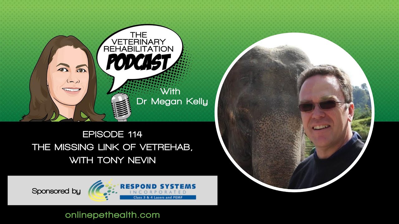 The Missing Link of Vetrehab, with Tony Nevin - YouTube