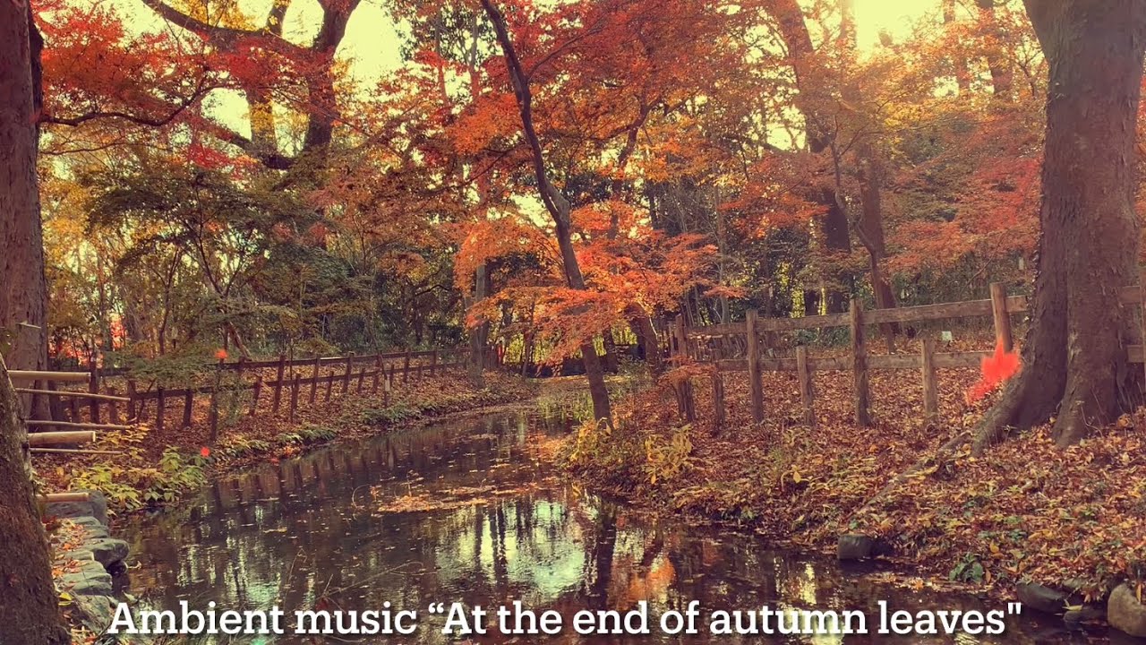 Ambient music “At the end of autumn leaves" / sdkc instruments（定吉楽器 ...