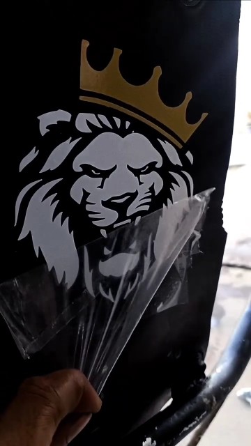 Lion radium stricker at Engine Patti #trending #automobile #explore # ...