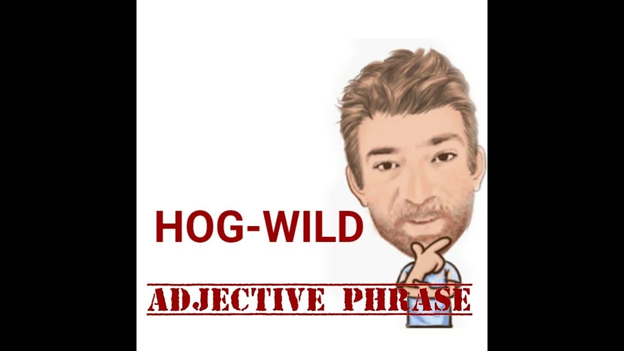 Hog-Wild -Adjective Phrase (212) Origin - Two Meanings - English Tutor ...