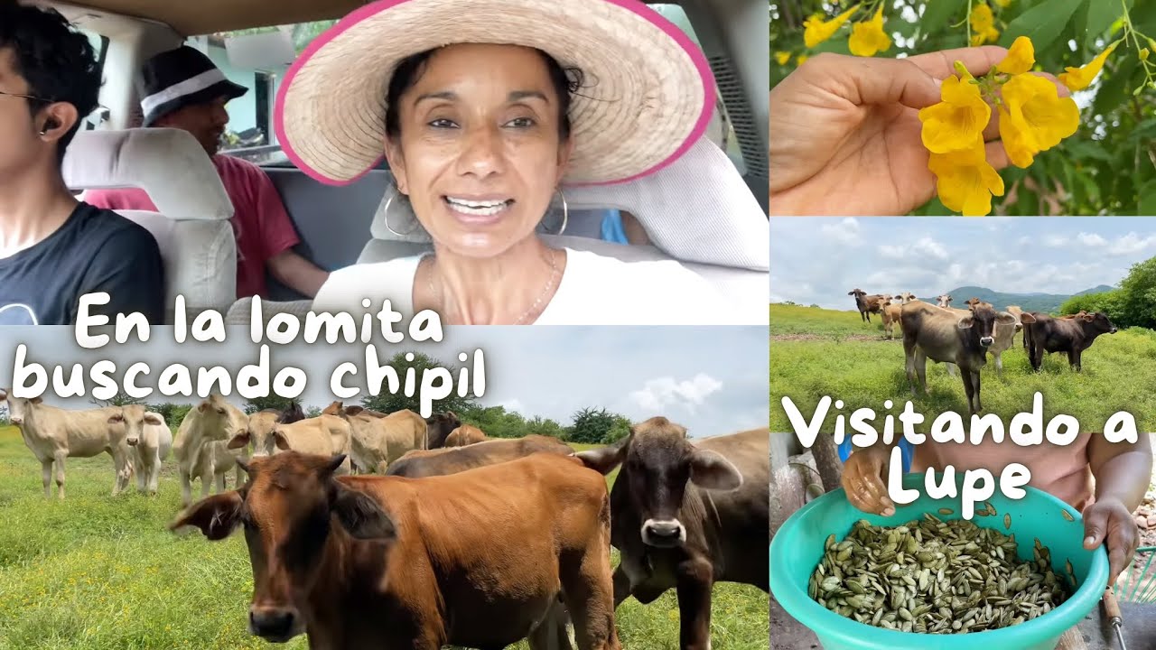 VISITANDO A LUPE + EN LA LOMITA BUSCANDO CHIPIL - YouTube