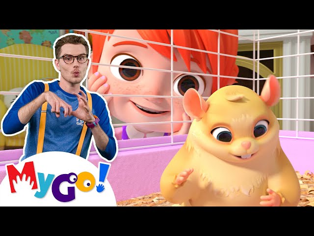 Pet Sleepover 🐹 | CoComelon Nursery Rhymes | Kids Song Compilation ...