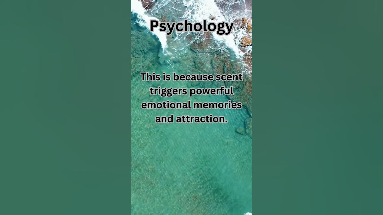psychology#relationships#crushes - YouTube