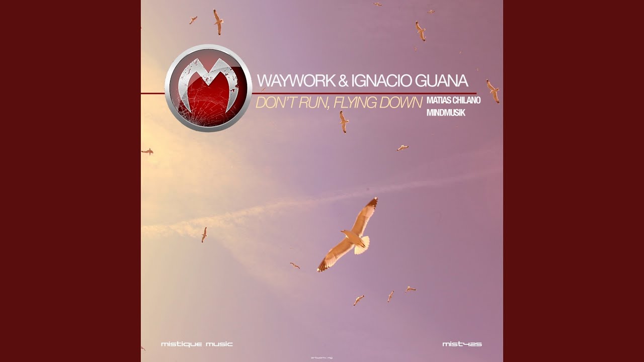 Don't Run , Flying Down - YouTube