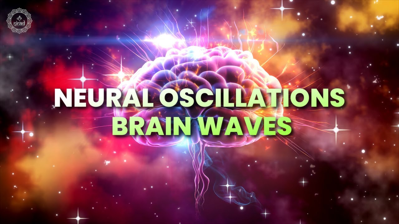 Activate The Growth Of New Brain Cells: Neural Oscillations Brain Waves ...