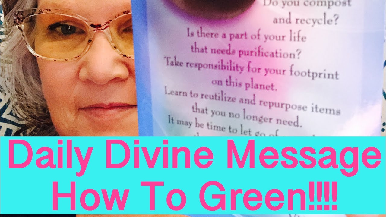 💎Daily Divine Message💎Animal Allies💎Gemstone Guardians💎 Jet & Vulture💎 ...