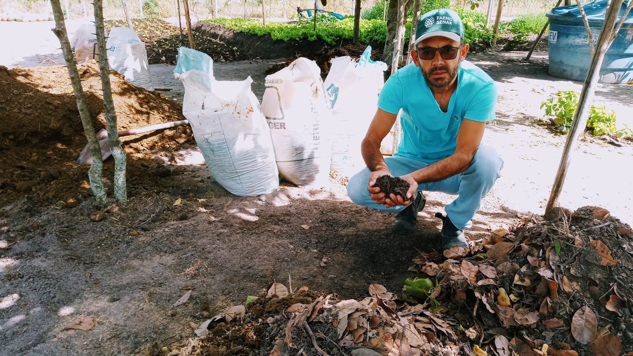 Como fazer compostagem com folha seca e esterco de curral,#vida no ...