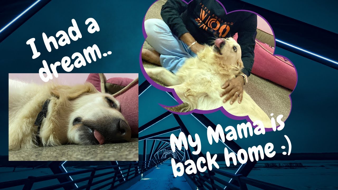 Excited To See Mama Back Home 😍🐶| Funny Puppy Videos - YouTube