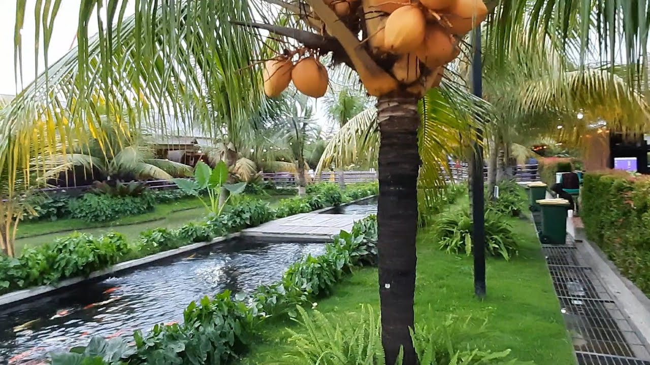 Penampakan Bambu Ungu Resto Marelan | Medan Utara - Sumut Indonesia ...