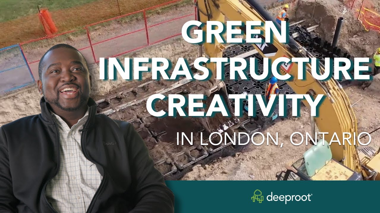 Innovative Stormwater and Tree Solutions with Silva Cells in London ...