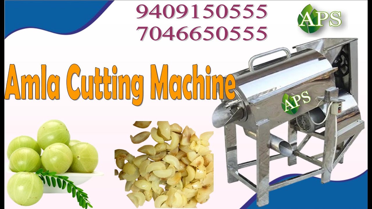 Amla Cutting Machine at Best Price in India - YouTube