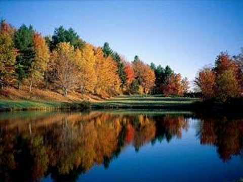 Buket Duru - Hata