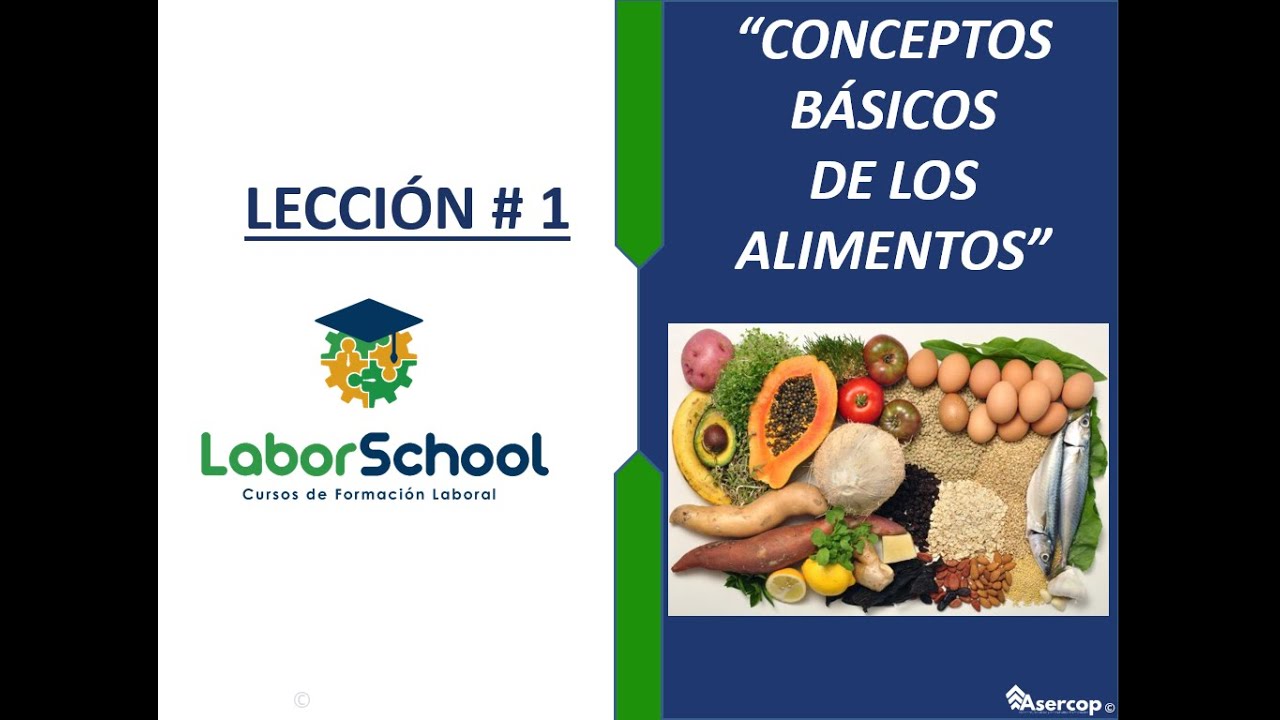 CONCEPTOS BÁSICOS DE LOS ALIMENTOS - YouTube