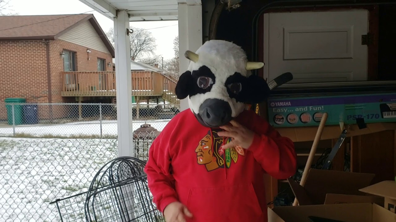 Moo Moo Mikey The Cow 🐄 - YouTube