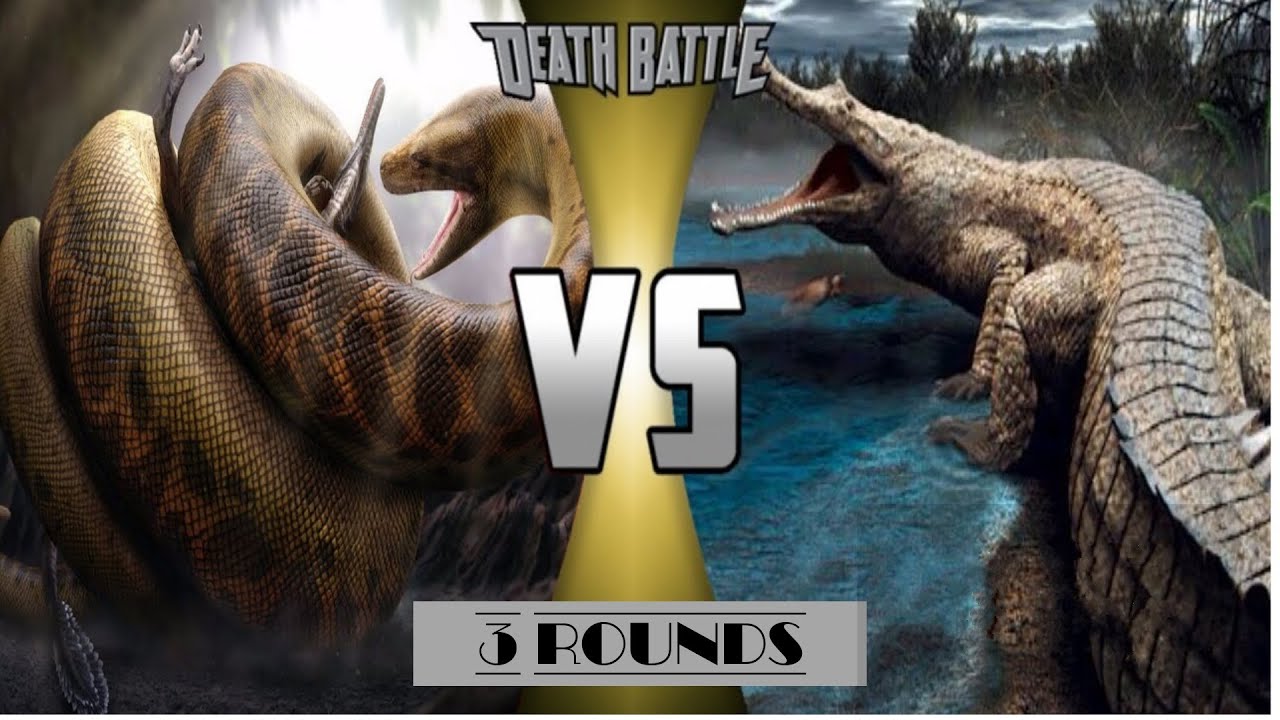 💥 Battle of prehistoric creatures 💥 Purussaurus vs. Titanoboa💥Animal ...