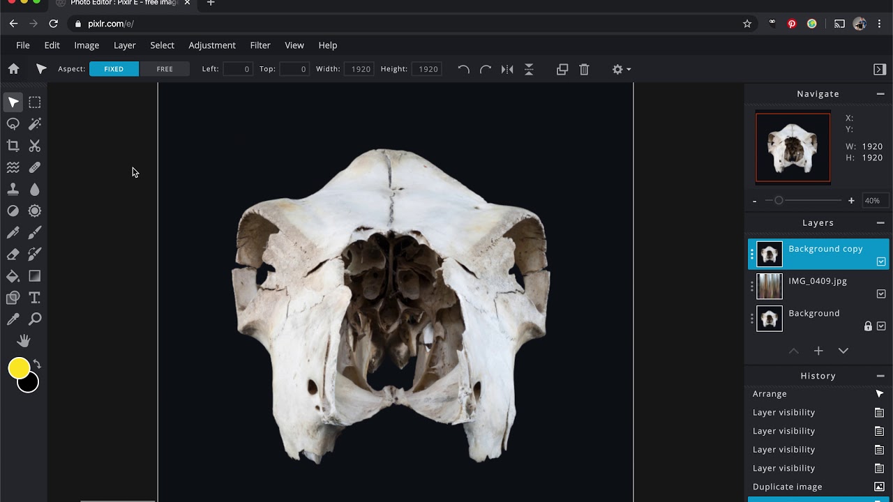 How to create a Double Exposure effect in Pixlr - YouTube