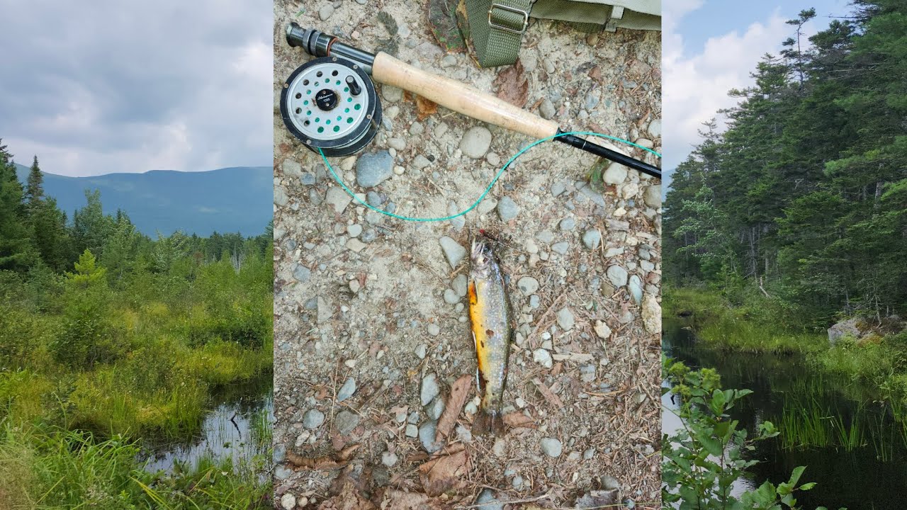 I bought my first fly rod🎣 - YouTube