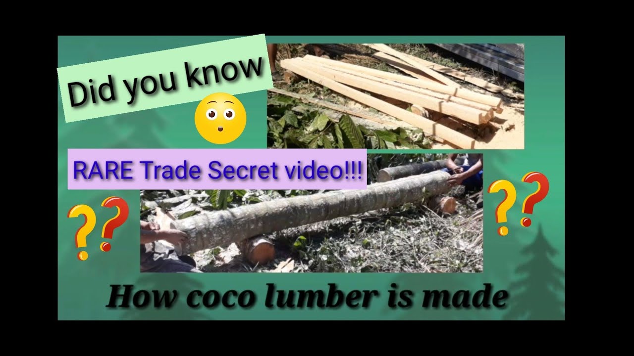 How coco lumber is made. (Rare trade secret video!) - YouTube