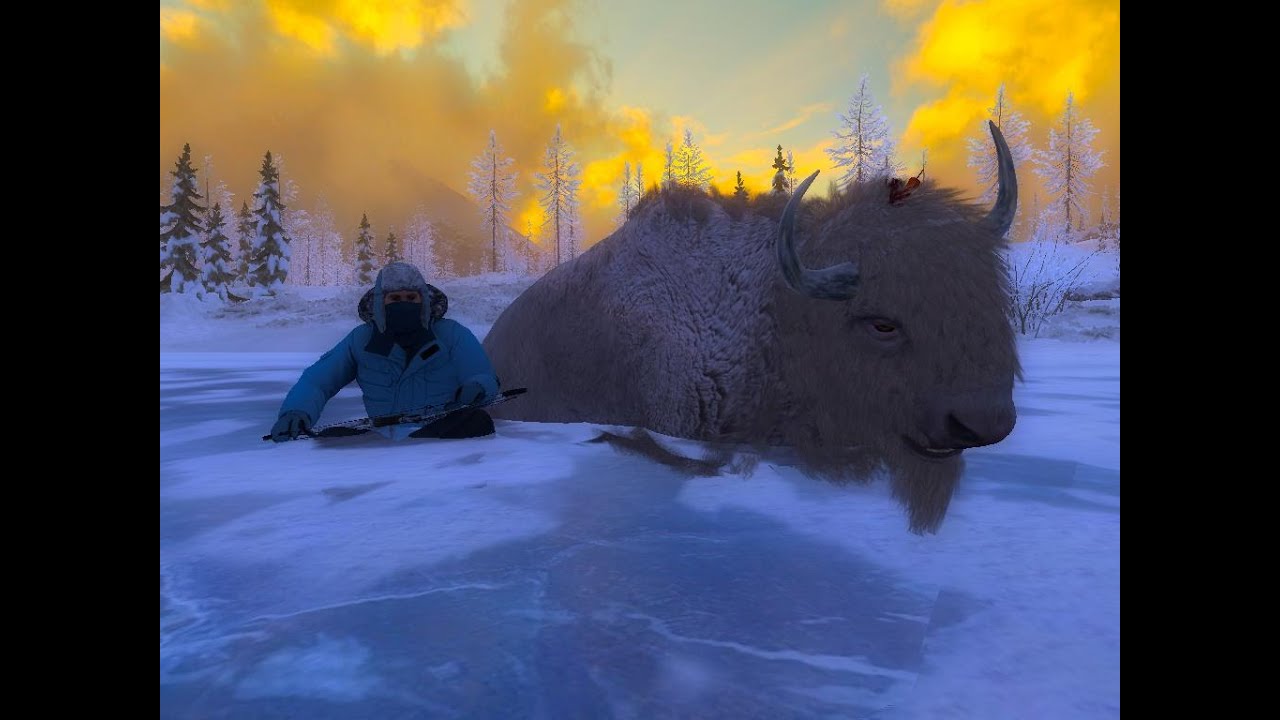 The Hunter Classic - Albino Bison - YouTube