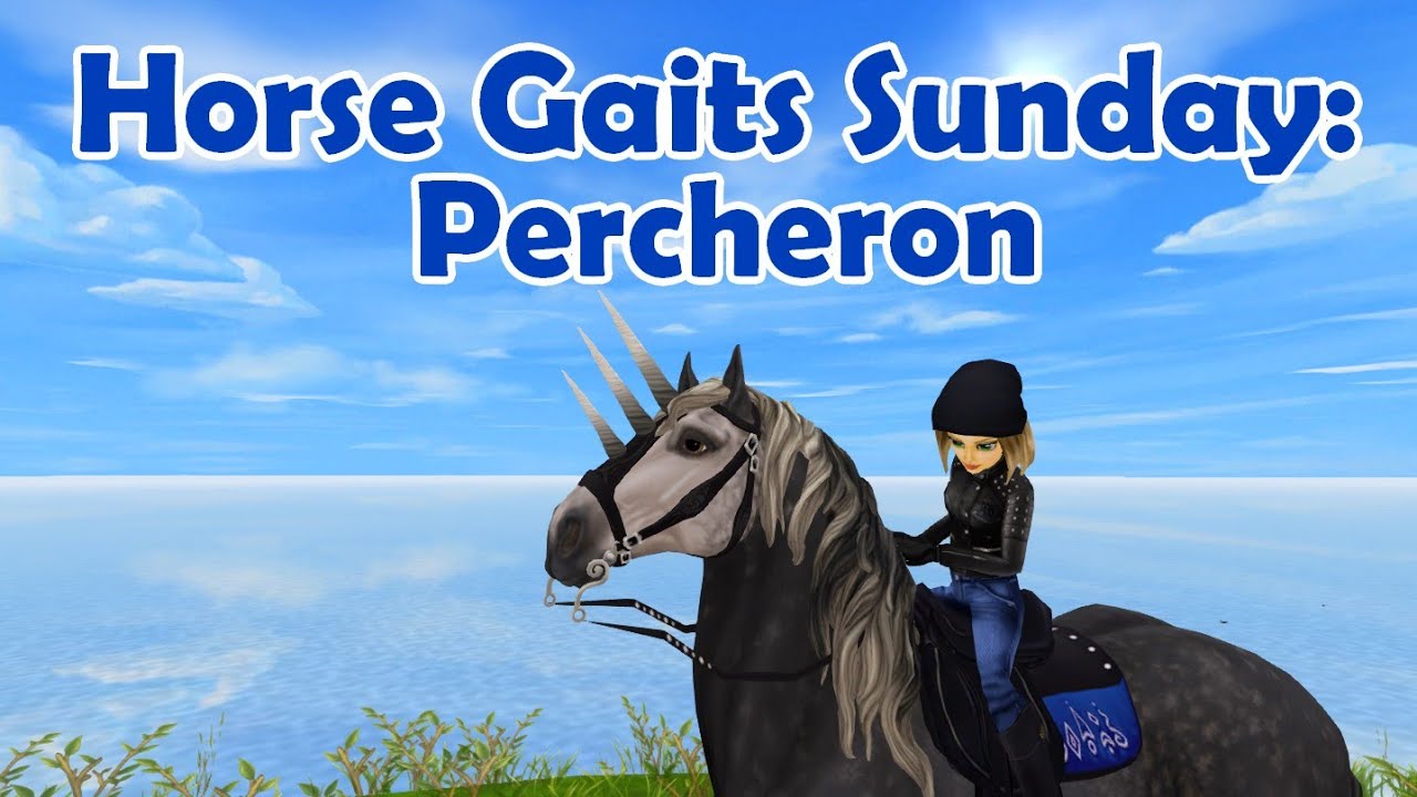 Horse Gaits Sunday: Percheron | #SSO - YouTube