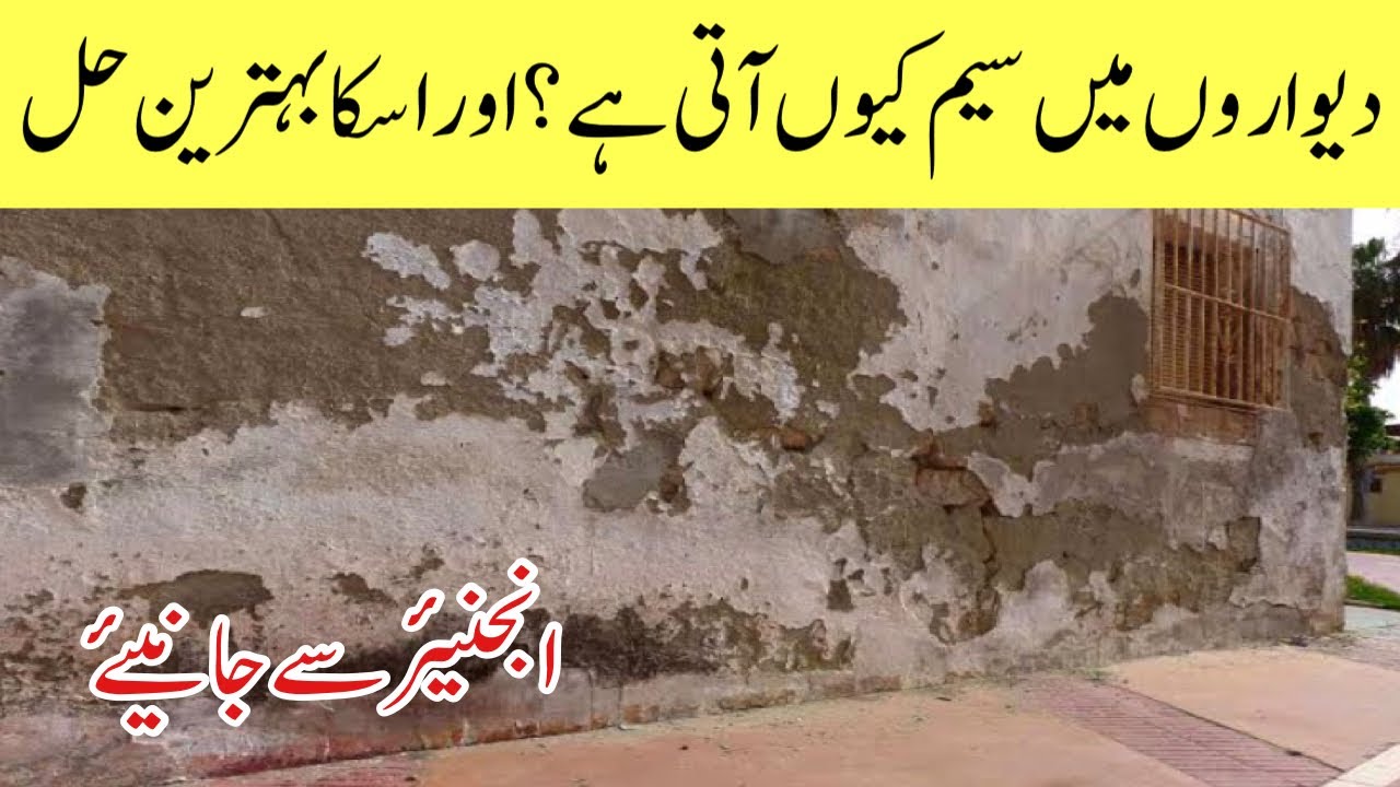 Wall dampness problems and solutions | wall dampness treatment in ...