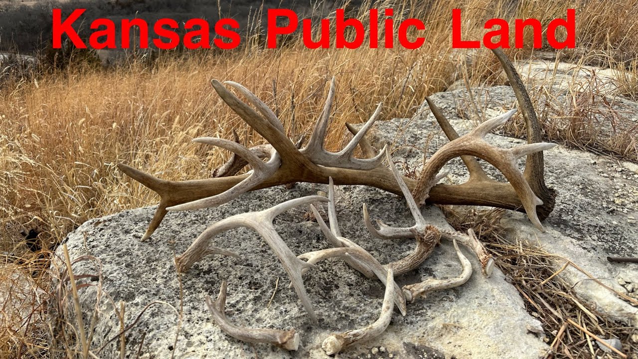 Kansas public land shed hunting 2023 - YouTube