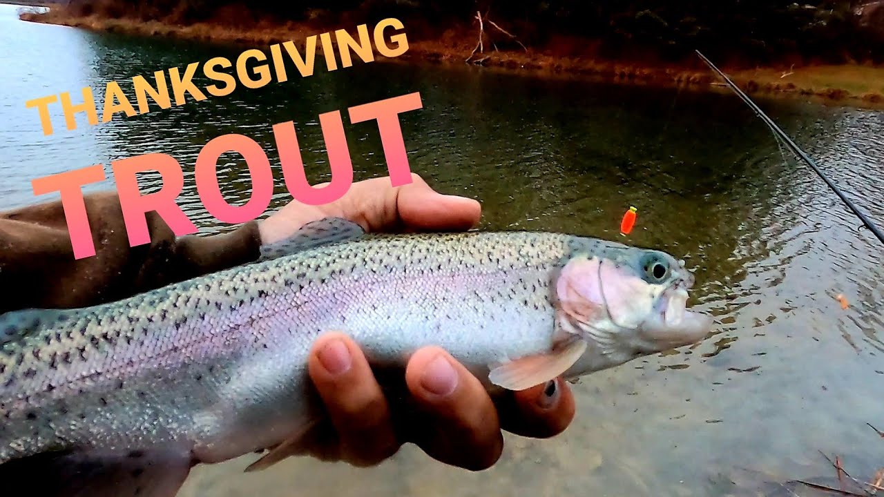 THANKSGIVING TROUT - YouTube