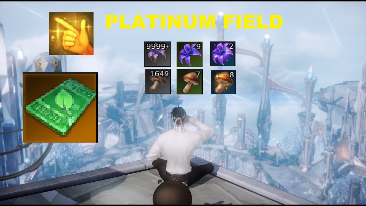 [Striker] Platinum Field Complete *PERFECT* (MOVESPEED BUILD COMMENTS ...