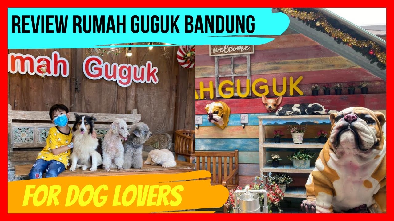 Review Rumah Guguk Bandung Keren Tempatnya Lucu-lucu Anjingnya - YouTube