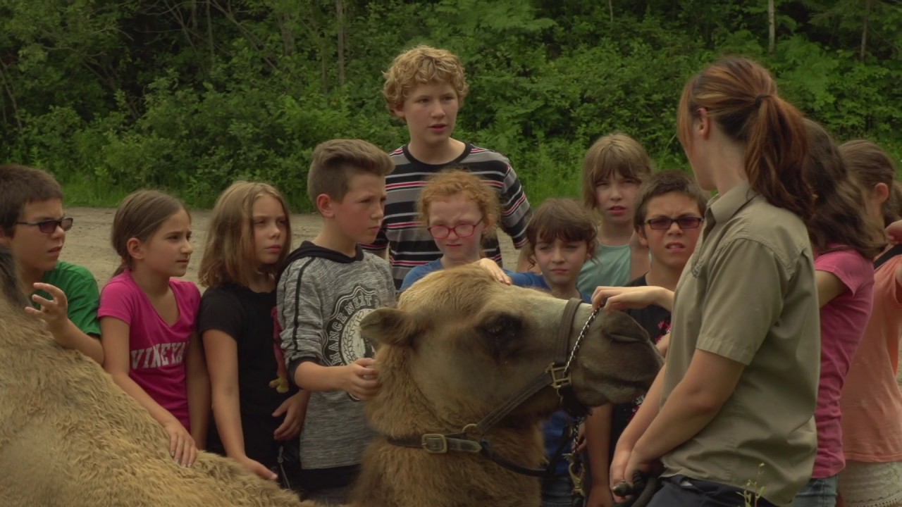 MONTAGE Camp Zoo St Felicien 24 10 2016 - YouTube