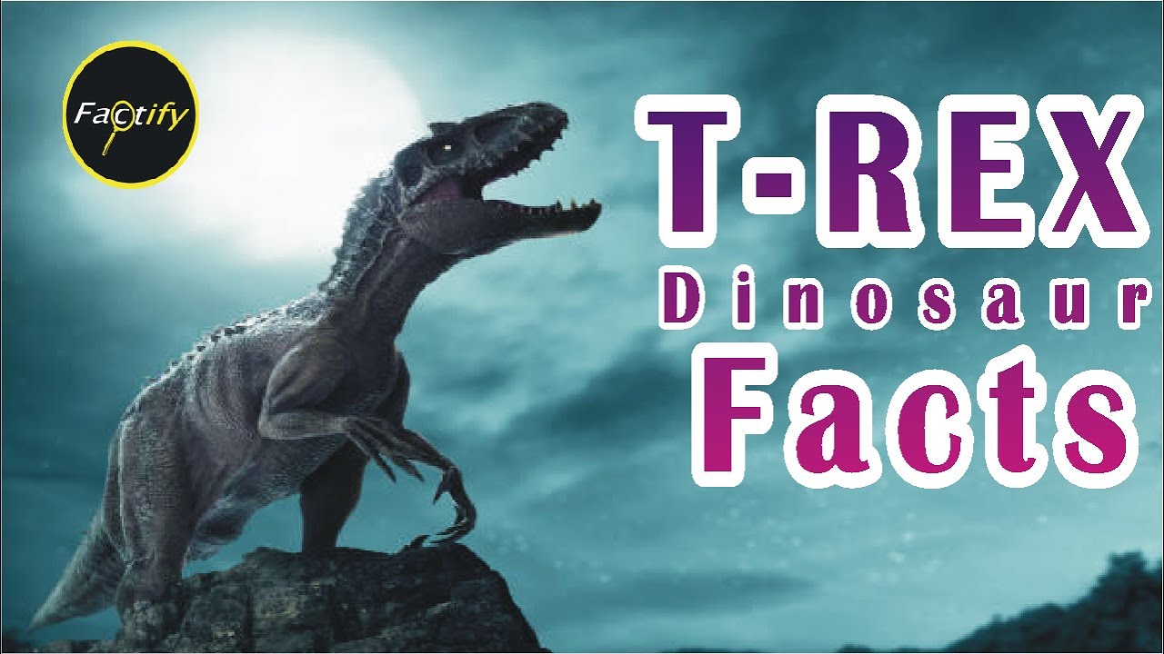 T Rex Dinosaur | Facts | Factify. - YouTube