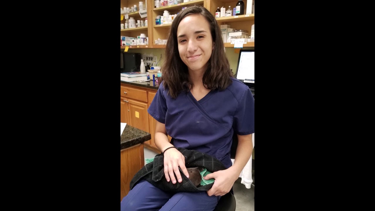 Justin Bartlett Animal Rescue Montage Video! - YouTube