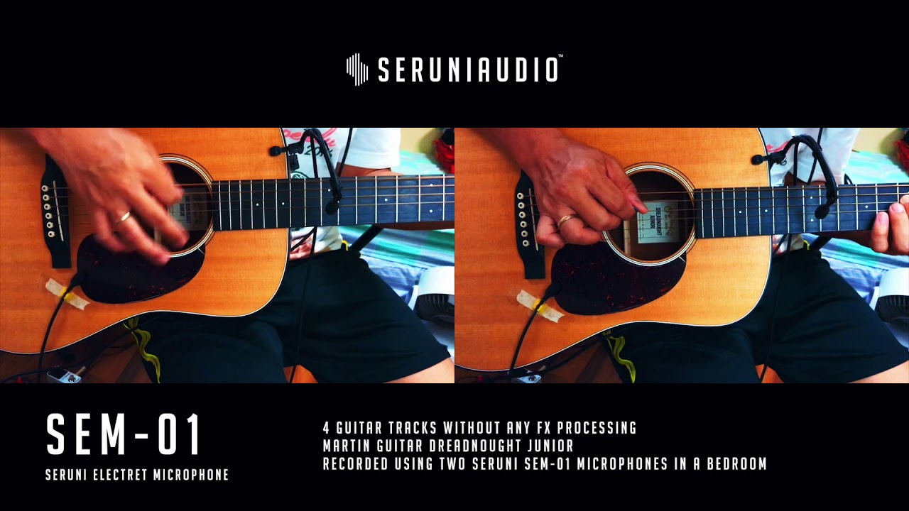 Seruni Electret Microphone SEM-01 Demo - YouTube