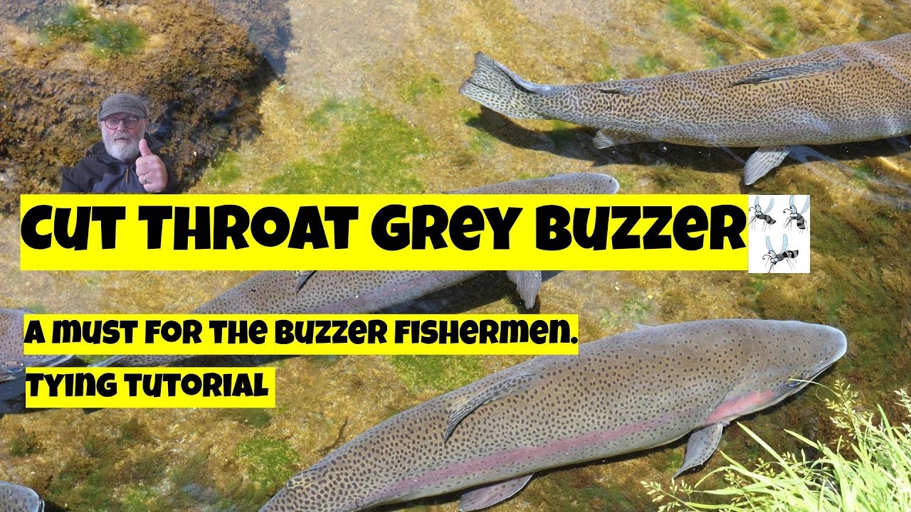 Flies to catch trout (cut Throat Grey boy buzzer) - YouTube
