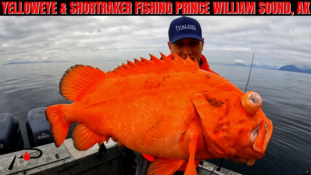 Prince William Sound Yelloweye & Shortraker Fishing - YouTube