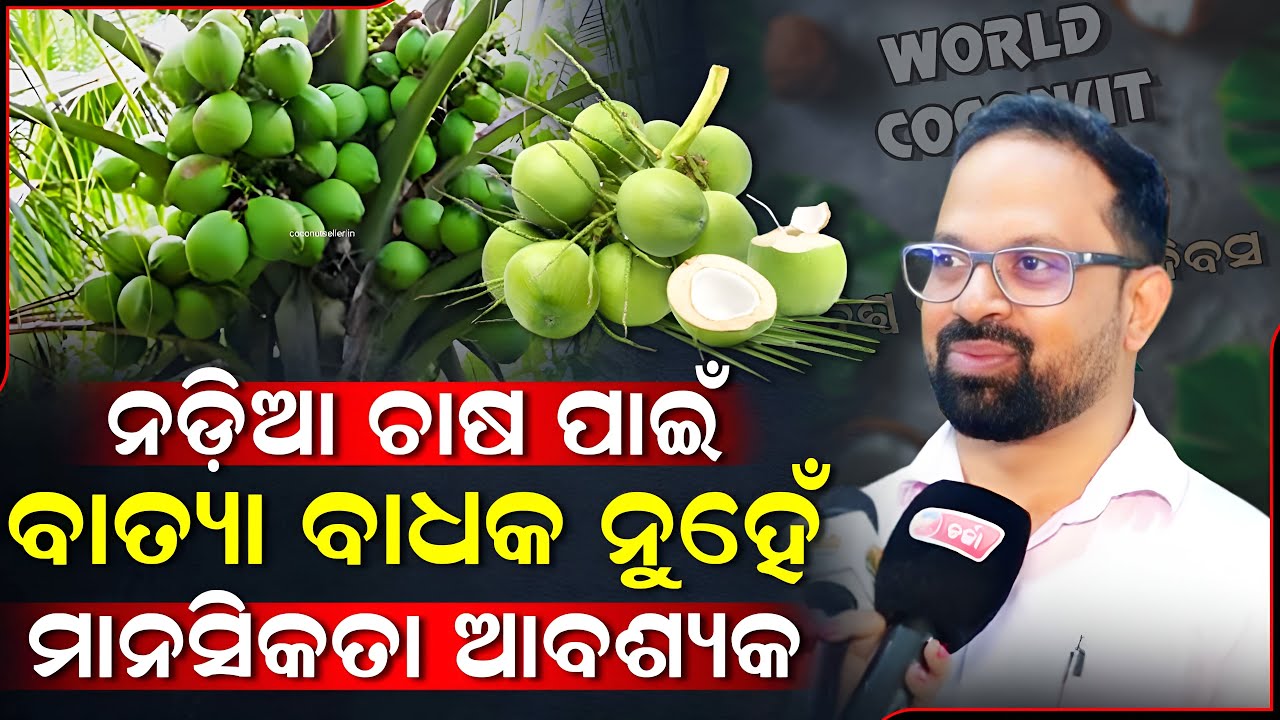 ବିଶ୍ବ ନାରିକେଳ ଦିବସରେ ନଡ଼ିଆ ଚାଷୀମାନଙ୍କୁ ମେସେଜ ଦେଲେ Dr. Satya Tapas ...
