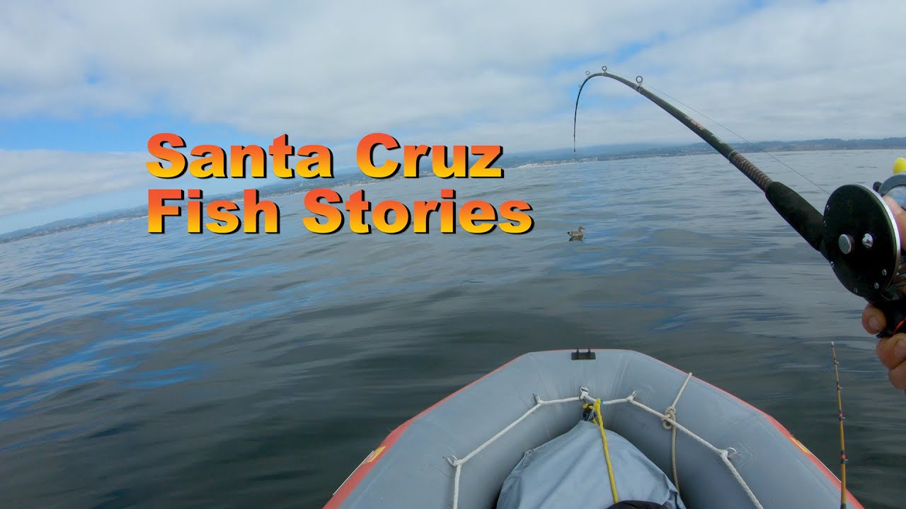 Santa Cruz Fish Stories 10/22/20 - YouTube