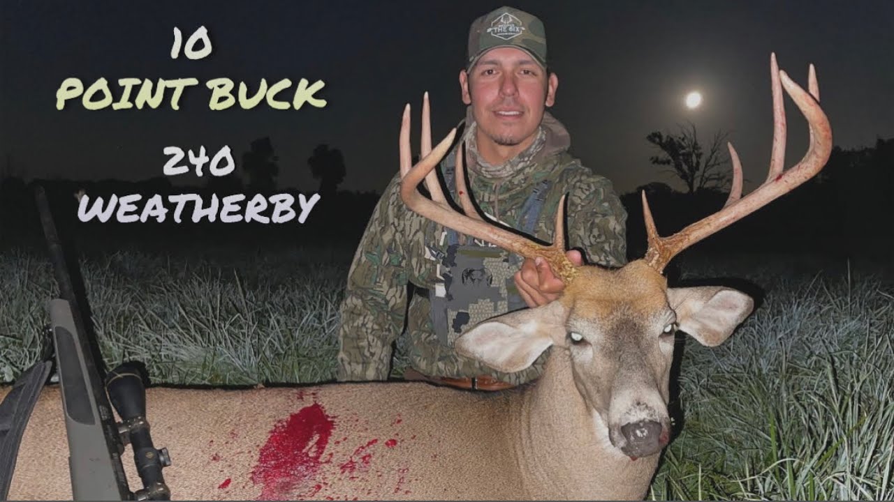 10 POINT BUCK - 24O WEATHERBY - YouTube