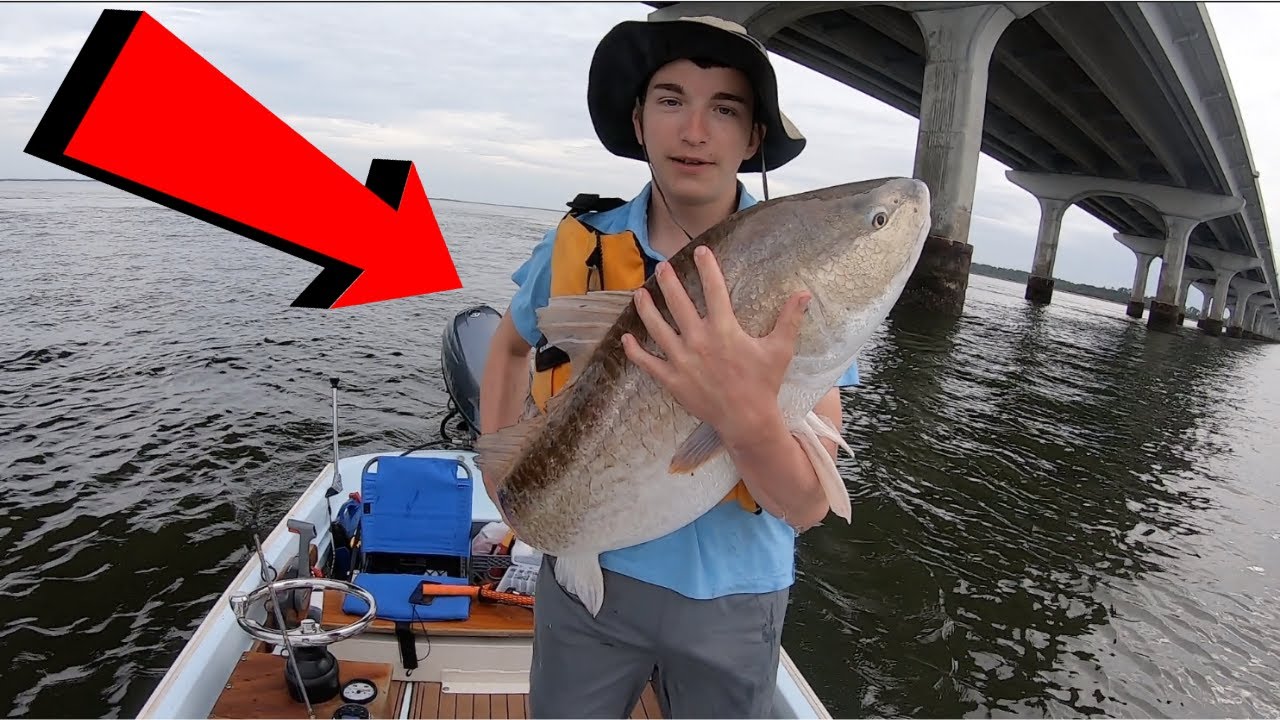 43 Inch BULL RED Caught from Boston Whaler 13 - YouTube