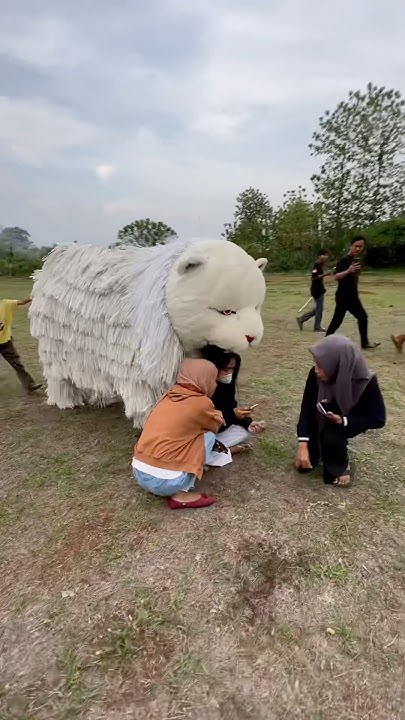 Cewek cantik lagi duduk santai dimakan can macanan - YouTube