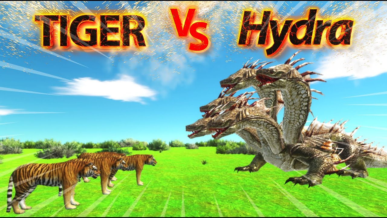 Hydra Vs TIGER ! ARBS - YouTube